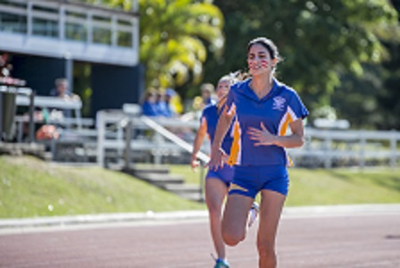 TASS Sports Fixtures & Results